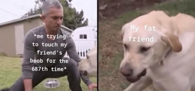 *me tryin to touch my friend's boob for the 687th time* vy. @e. - iFunny