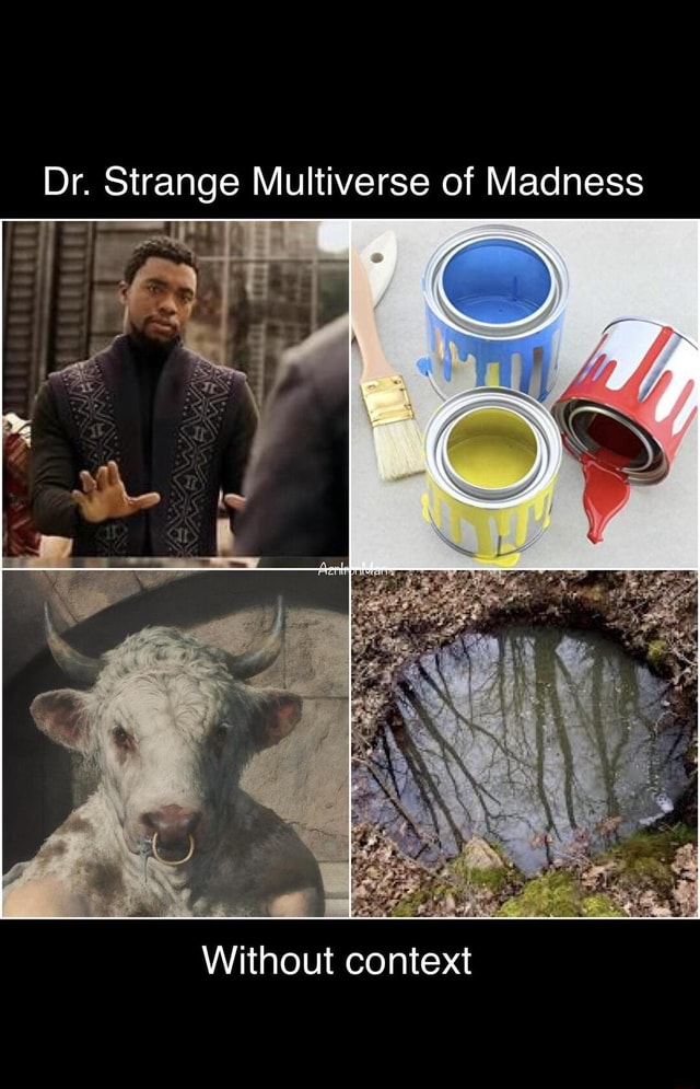 #drstrange #multiverse_of_madness #spoilerswithoutcontext #viral #meme #marvel - Dr. Strange ...