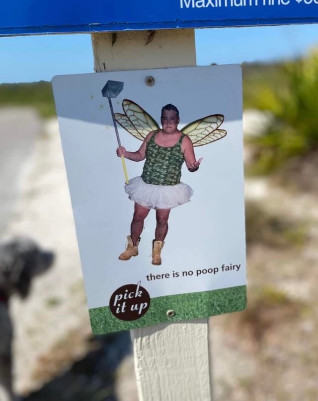 There is no pooP fairy - iFunny