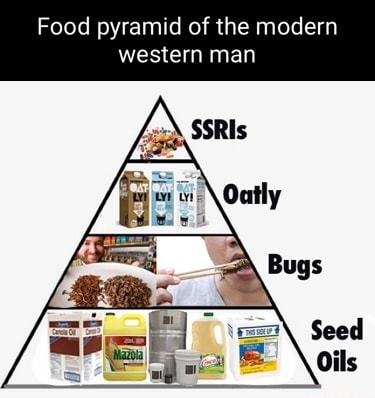 Food pyramid of the modern western man - iFunny