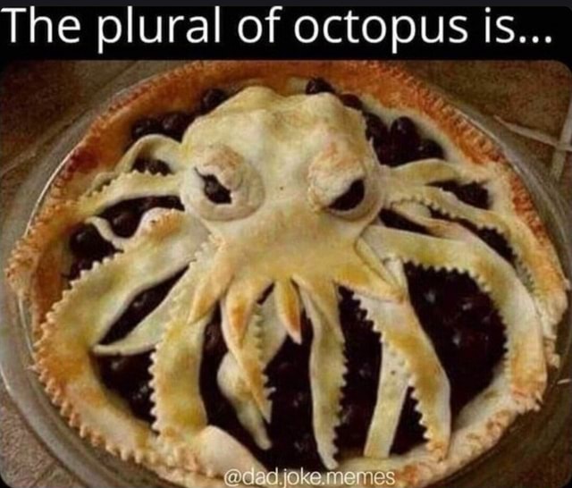 The plural of octopus is @dad joke. memes - America’s best pics and videos