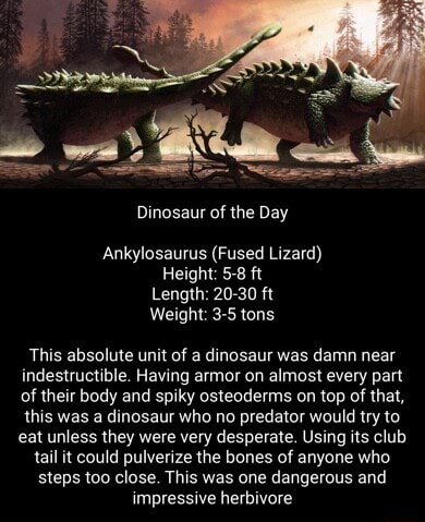 Dinosaur of the Day Ankylosaurus (Fused Lizard) Height: 5-8 ft Length ...