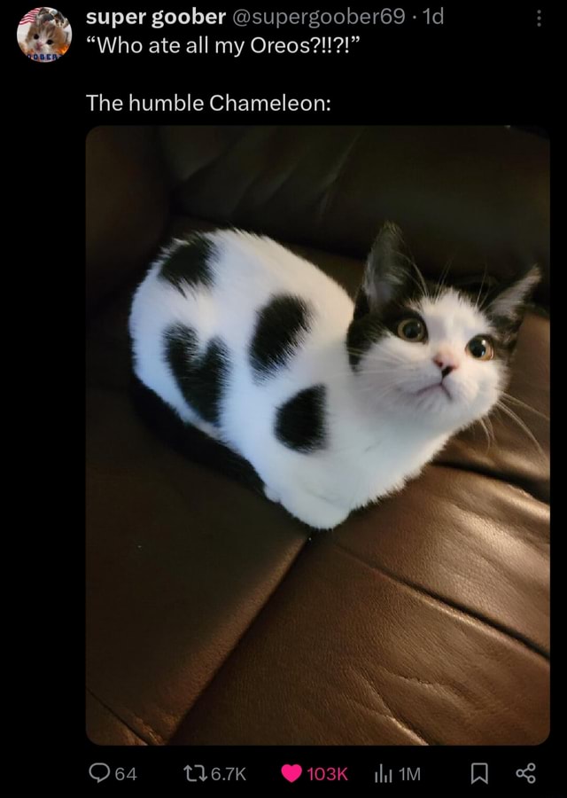 Super goober @supergoober69 id "Who ate all my Oreos?!!?!" The humble ...