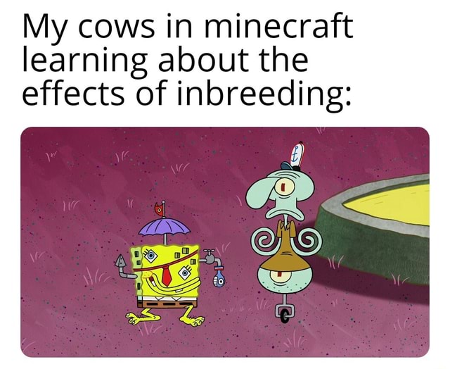 My cows in minecraft learning about the effects of inbreeding: - iFunny