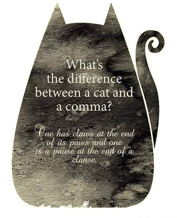 Whats the difference between a cat and a comma? has' clawus-at the end ...