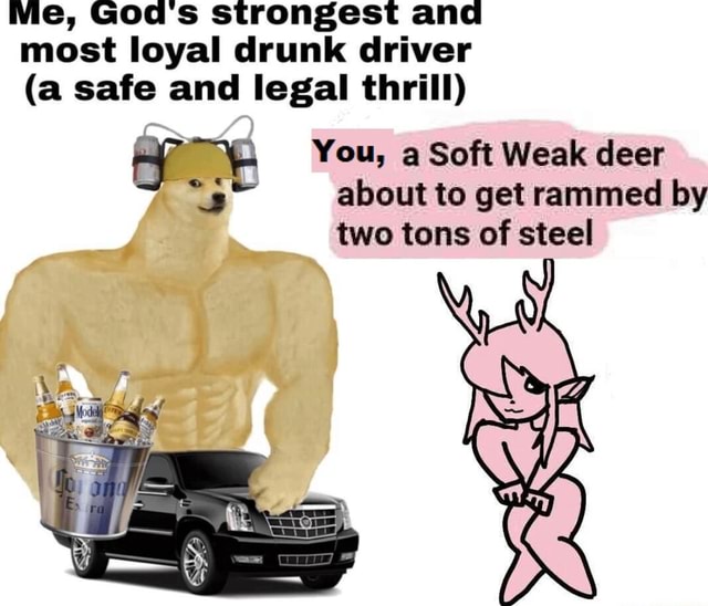 Me, God's strongest ana most loyal drunk driver (a safe and legal ...