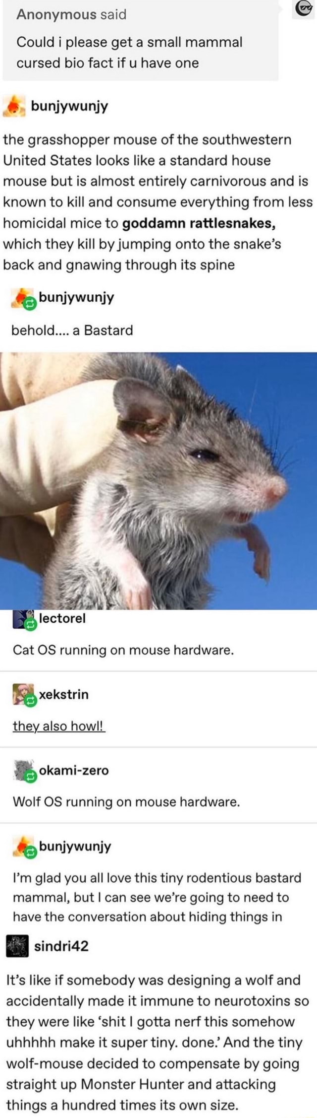 Anonymous said Could i please get a small mammal cursed bio fact if u ...