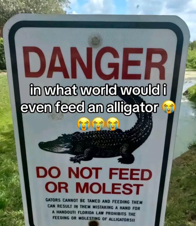 DANGER in what world would even feed an alligator DO NOT FEED OR MOLEST ...