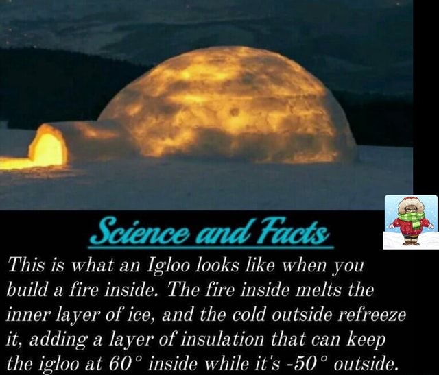 Science and Facts This is what an Igloo looks like when you build a ...