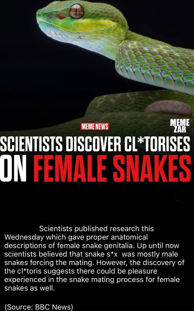 MEMENEWS SCIENTISTS DISCOVER CL*TORISES UN FEMALE SNAKES Scientists ...