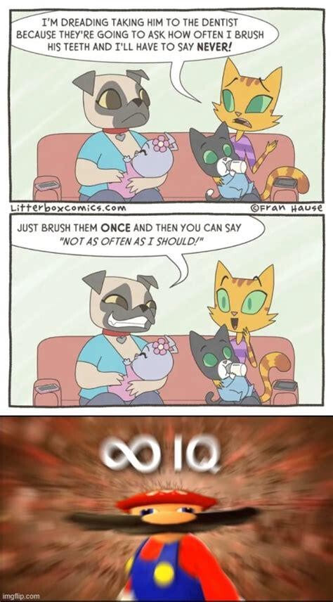 Infinity IQ - TM DREADING TAKING HIM TO THE DENTIST BECAUSE THEY'RE ...