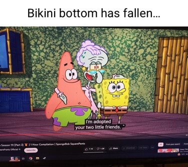 Bikini bottom has fallen - iFunny