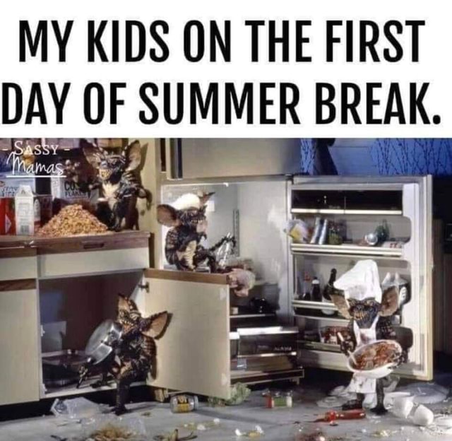 MY KIDS ON THE FIRST OF SUMMER BREAK. - America’s best pics and videos
