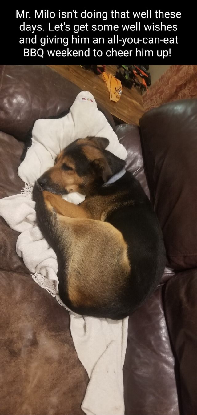 Mr. Milo isn't doing that well these days. Let's get some well wishes ...
