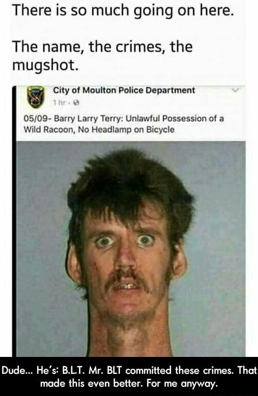 There is so much going on here. The name, the crimes, the mugshot. y ...