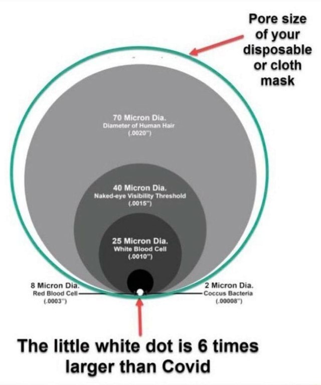 Pore size of your disposable or cloth mask 70 Micron Dia. Diameter of ...