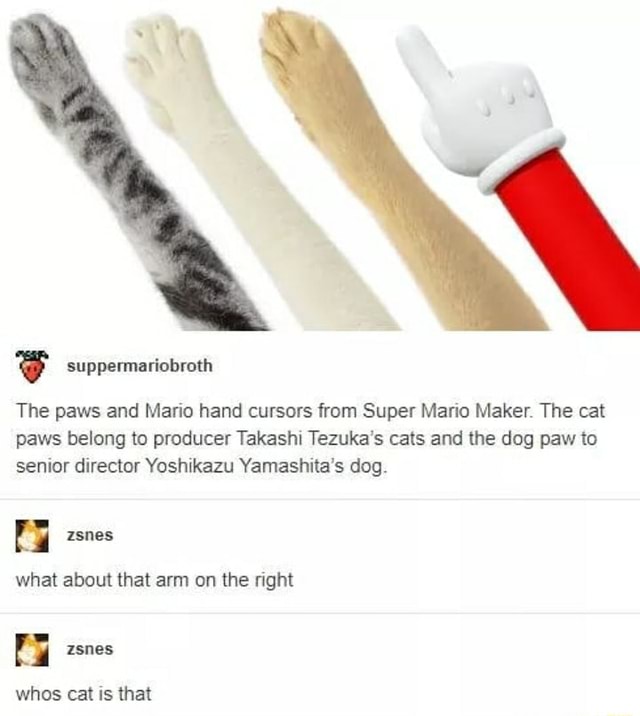 3 suppermariobroth The paws and Mario hand cursors from Super Mario ...