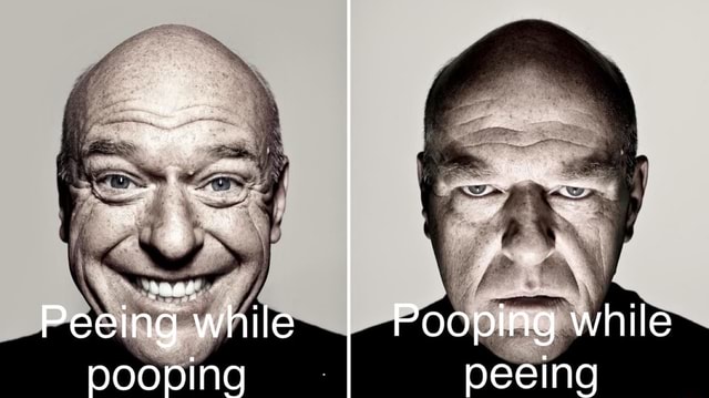 Peeing while poopind Pooping while peeing - iFunny
