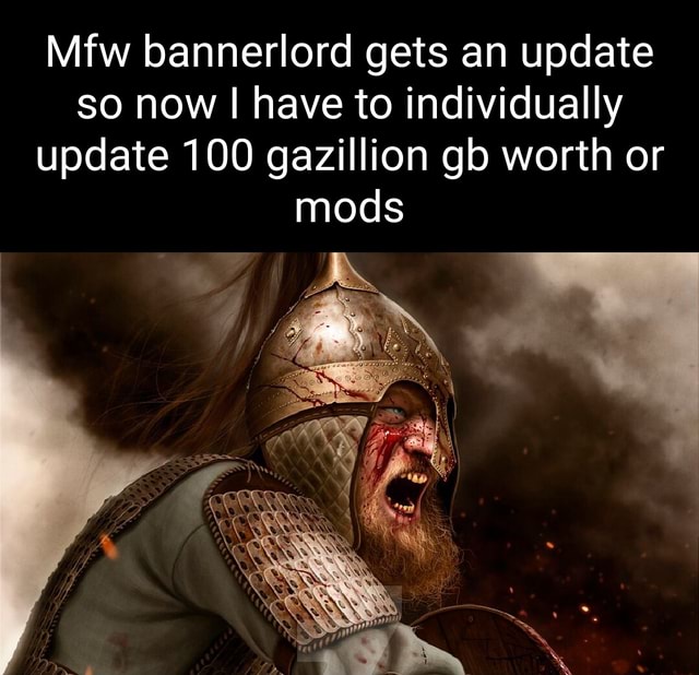 Mfw bannerlord gets an update so now I have to individually update 100 ...