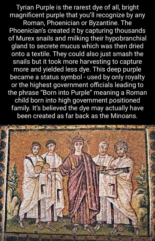 Tyrian Purple is the rarest dye of all, bright magnificent purple that ...