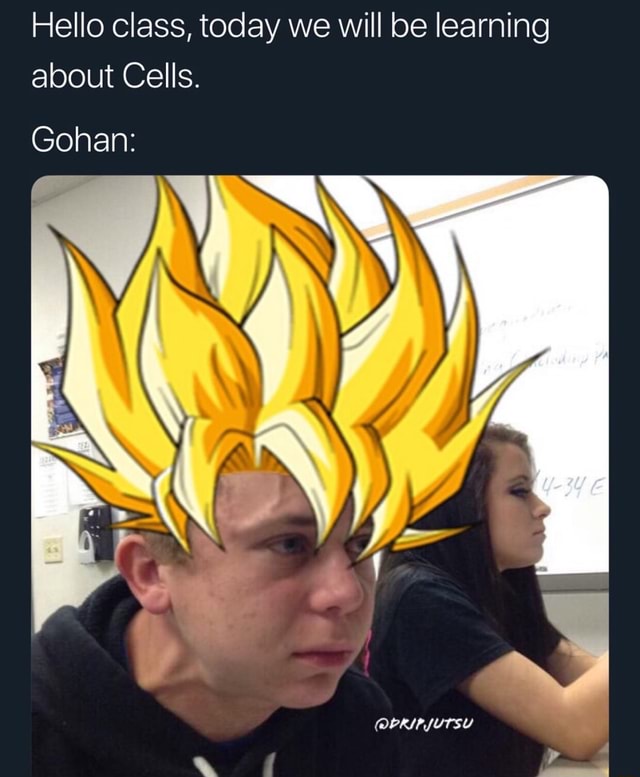 Hello class, today we will be learning about Cells. Gohan: - iFunny
