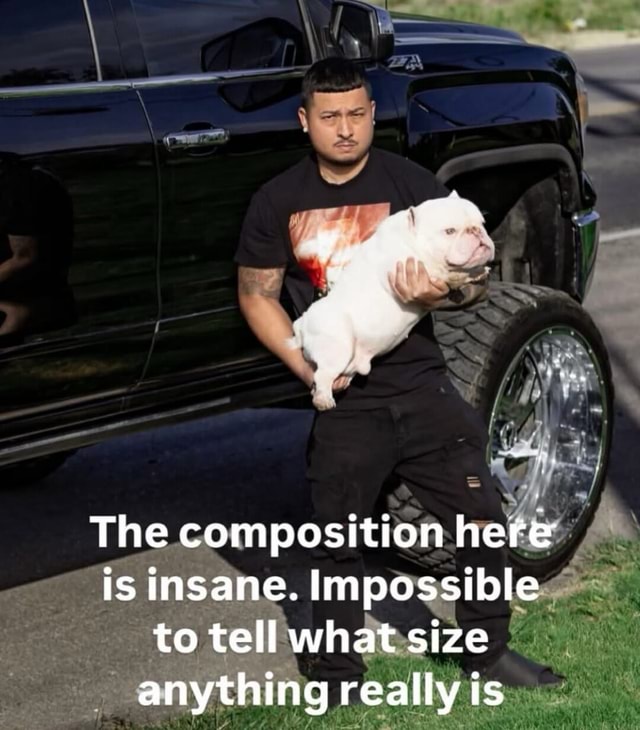 The composition here is insane. Impossible to tell what size anything ...