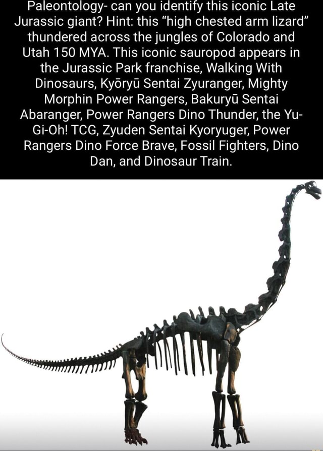 Paleontology- can you identify this iconic Late Jurassic giant? Hint ...