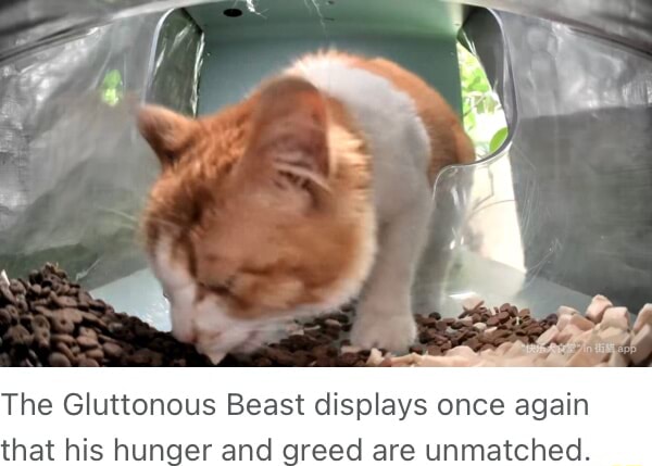 The Gluttonous Beast displays once again that his hunger and greed are ...