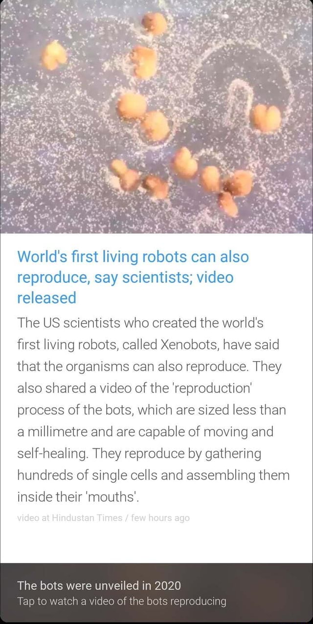 World's first living robots can also reproduce, say scientists; video ... World's first living robots can also reproduce, say scientists; video ...