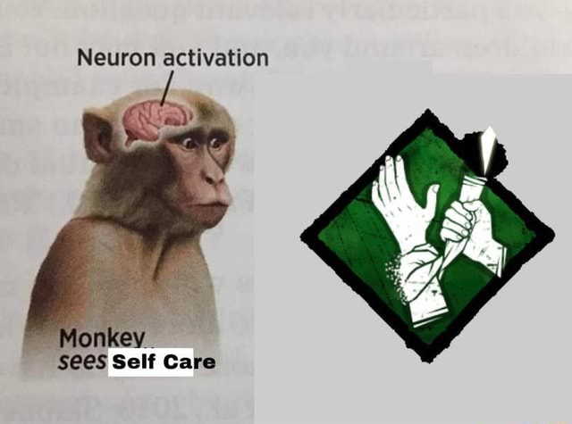 Neuron activation Monkey_ Self Care - iFunny
