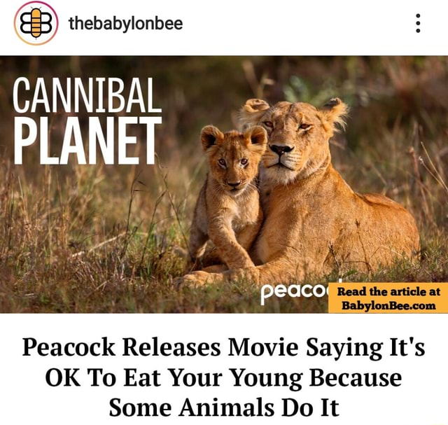 Thebabylonbee CANNIBAL PLANET peaco: Peacock Releases Movie Saying It's ...
