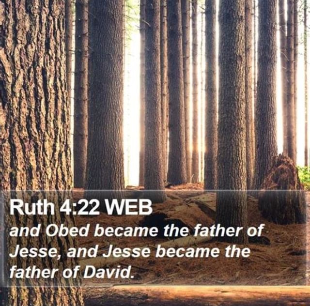 Ruth WEB and Obed became the father of Jesse. and Jesse became the ...