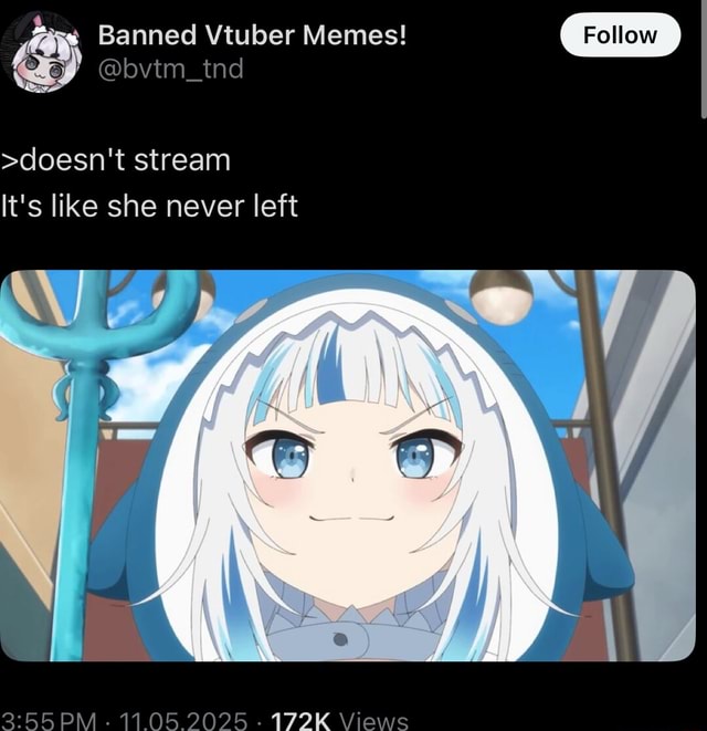Se Banned Vtuber Memes! @bvim_tnd >doesn't stream It's like she never ...