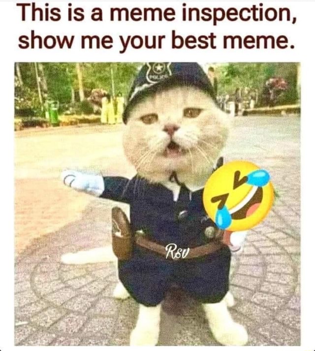 This is a meme inspection, show me your best meme. - iFunny