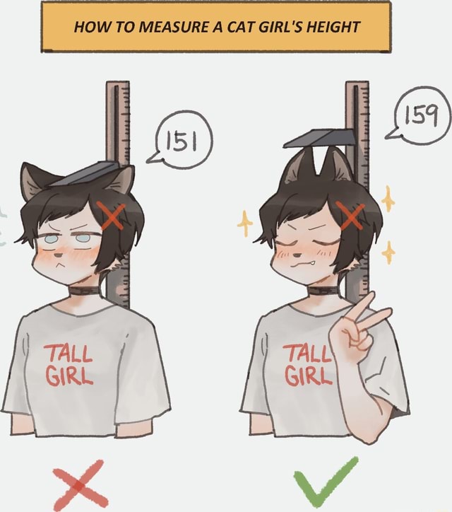 HOW TO MEASURE A CAT GIRL'S HEIGHT - iFunny