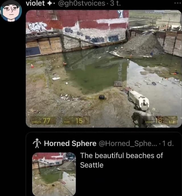 Violet Horned Sphere @Horned_Sphe... The beautiful beaches of Seattle ...