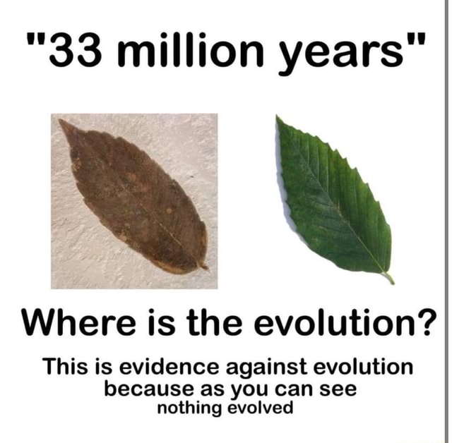 "33 million years" Where is the evolution? This is evidence against ...