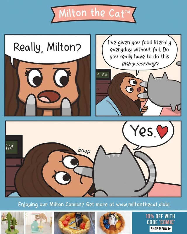 Silly human 🥰 - Milton the Really, Milton? I've given you food ...