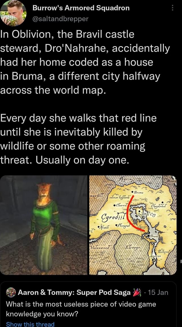 Burrow's Armored Squadron @saltandbrepper In Oblivion, the Bravil ...