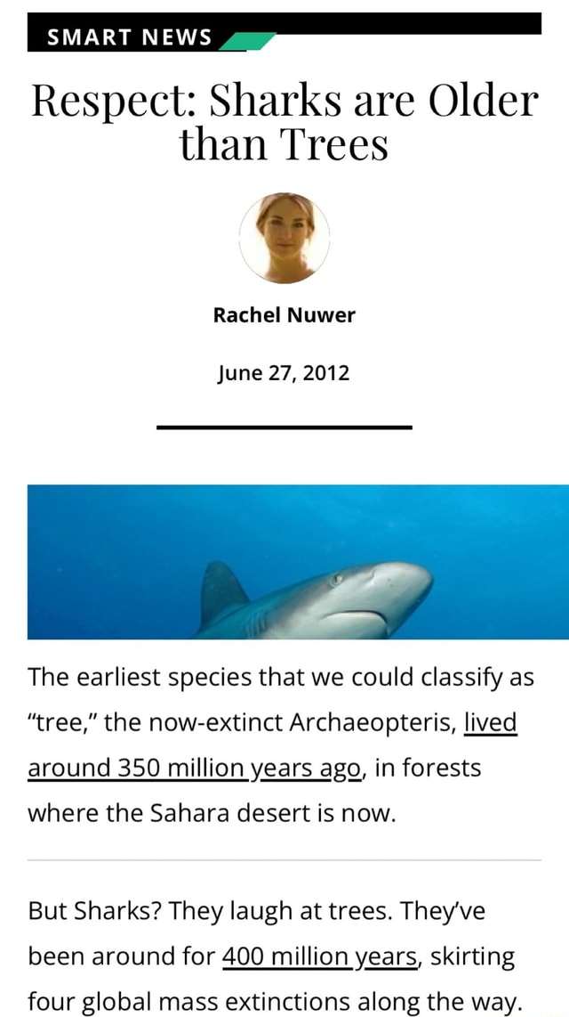 SMART NEWS Respect: Sharks are Older than Trees Rachel Nuwer June 27 ...
