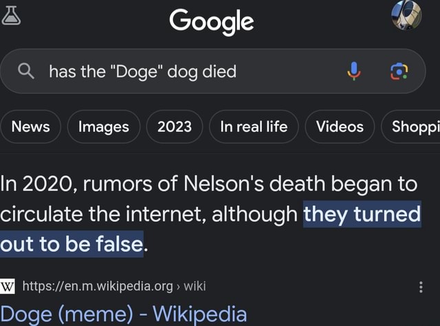 & Google has the "Doge" dog died News Images 2023 Inreallife Videos ...