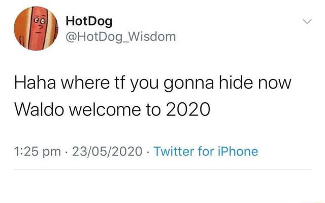 Haha where tf you gonna hide now Waldo welcome to 2020 pm - - Twitter ...