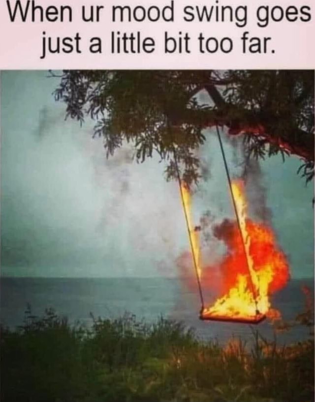 VWhen ur mood swing goes just a little bit too far. - iFunny