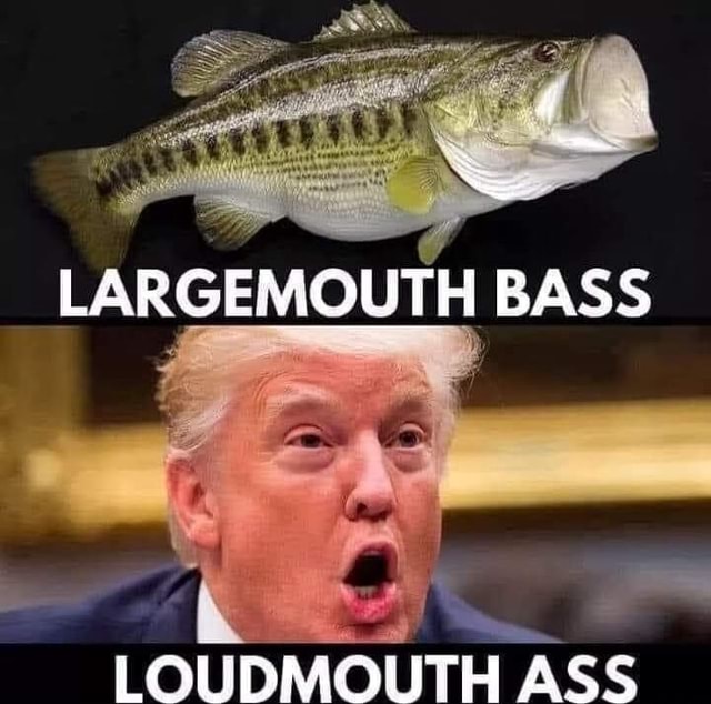LARGEMOUTH BASS LOUD MOUTH ASS - America’s best pics and videos