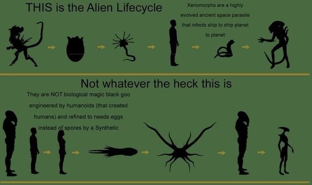THIS is the Alien Lifecycle evolved ancient space parasite that infects ship to ship planet ex ...