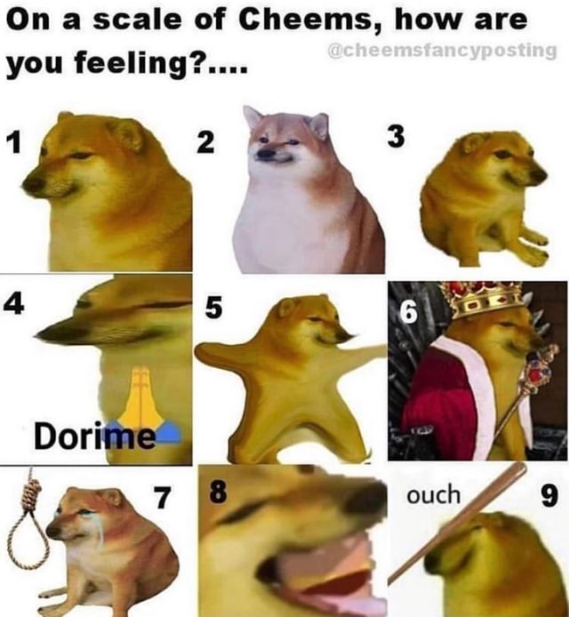 On a scale of Cheems, how are - iFunny