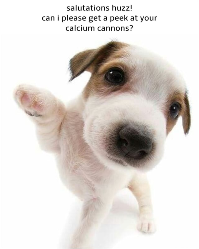 Salutations huzz! can please get a peek at your calcium cannons? - iFunny