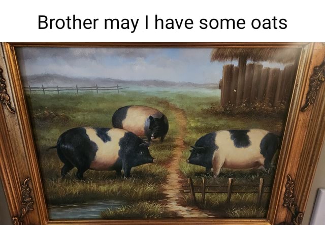 Brother may I have some oats - iFunny