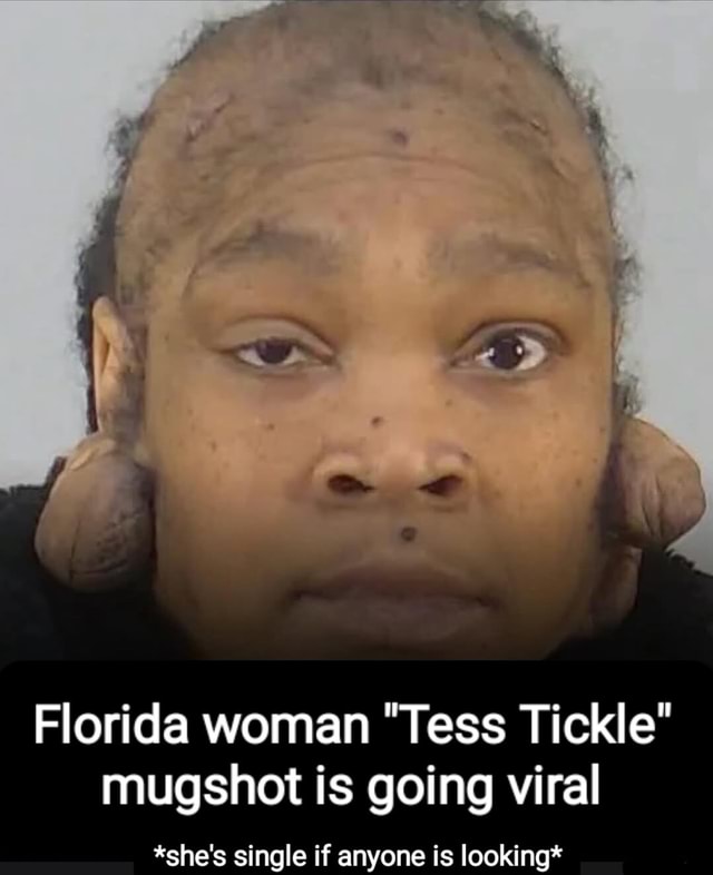 Florida woman "Tess Tickle" mugshot is going viral *she's single if ...