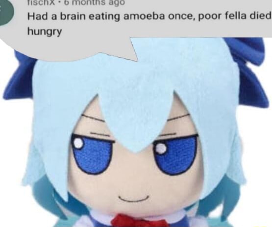 Had a brain eating amoeba once, poor fella died hungry - iFunny